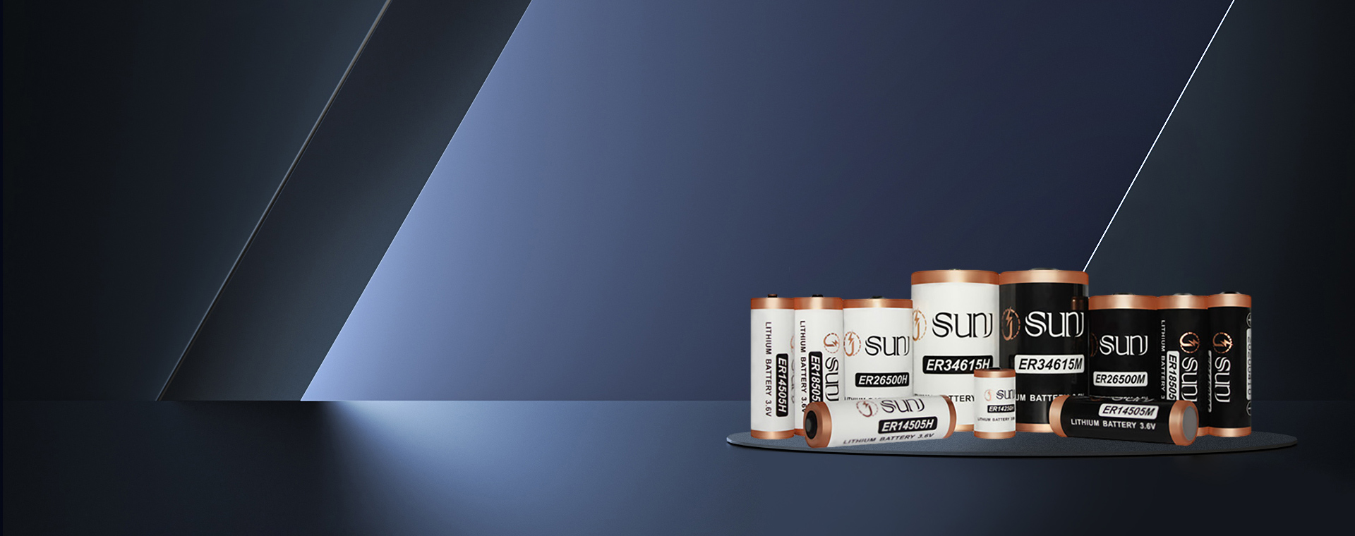 3.6V Li-SOCl2 Battery Manufacturer | SUNJ Energy